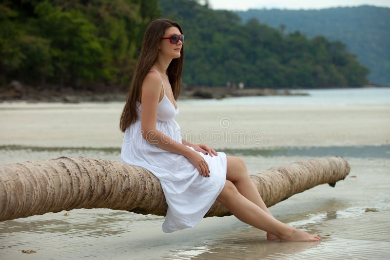 Tropical resort stock image. Image of relax, paradise - 80068529