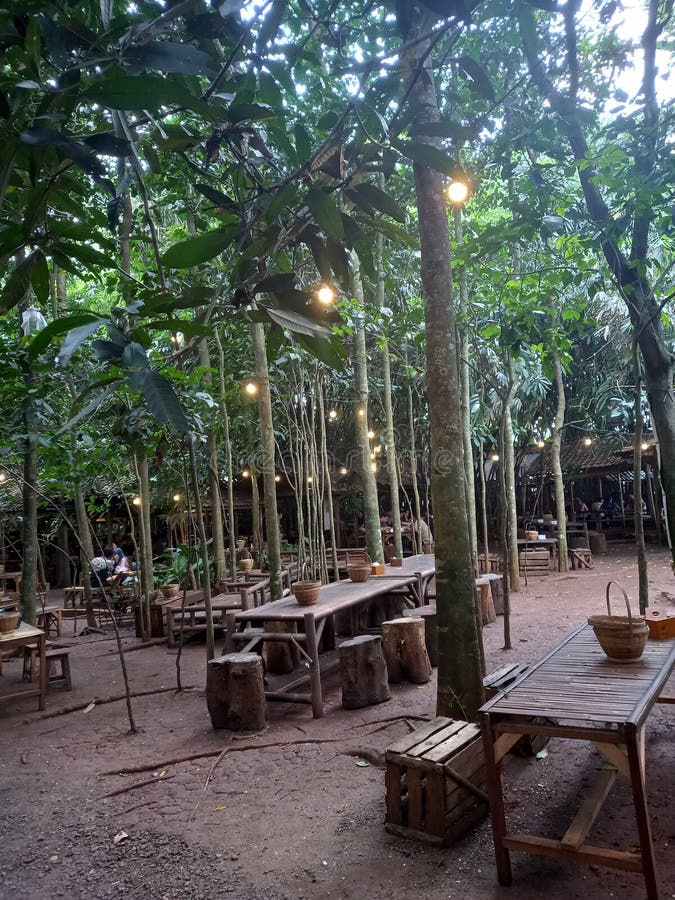 Tropical Restaurant in Deep Forest Stock Image - Image of drawing ...