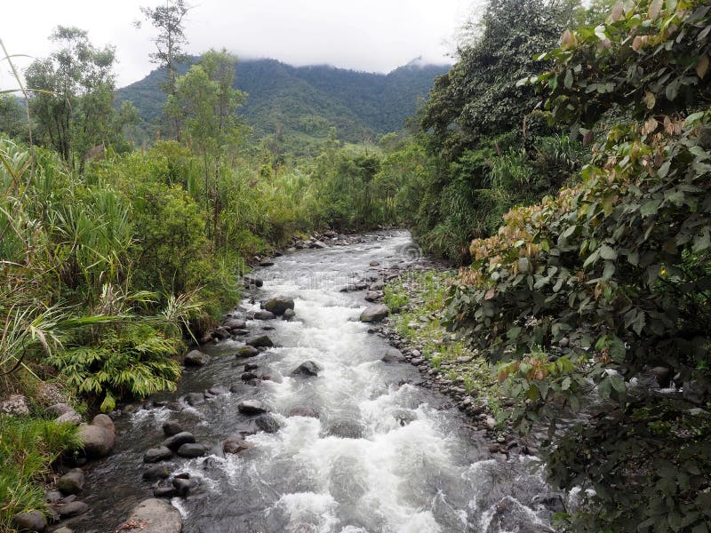 Tropical River, Mindo, Ecuador Stock Image - Image of nature, river ...