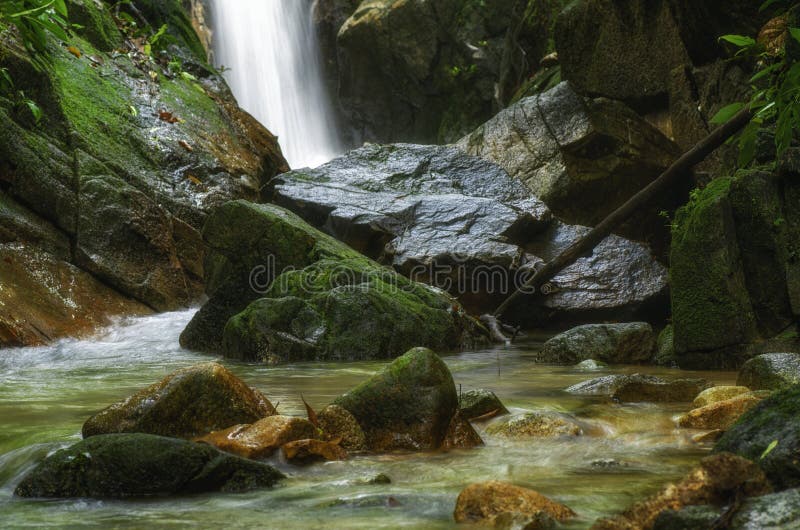 Tropical River Stream Flowing through Mossy Rock and Green Rain Forest ...