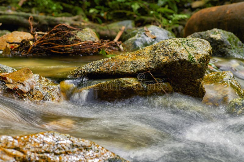 Tropical River Stream Flowing through Mossy Rock and Green Rain Forest ...