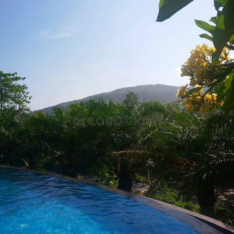 Tropical River View Swimming Pool Stock Photo - Image of mood, pool ...