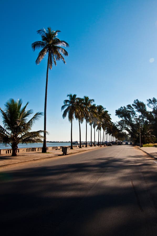 Tropical road of Maputo stock photo. Image of trees, tropic - 23200546