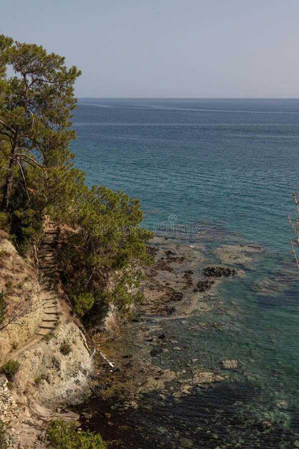 Tropical Rocks, Trees and Blue Ocean Landscape Cyprus Stock Image ...