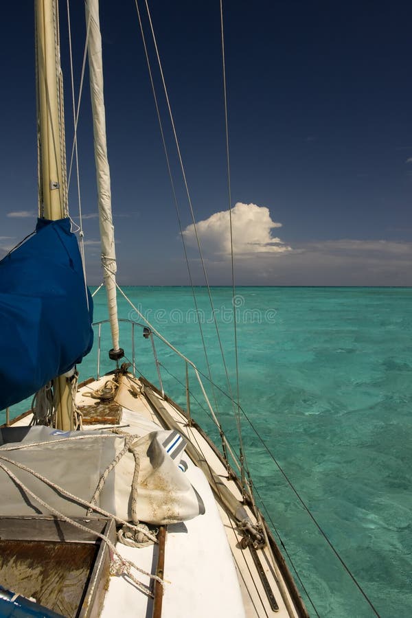 Tourist Sailing in a Catamaran on a Cuban Beach Editorial Photography ...