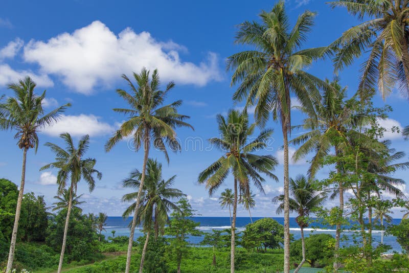 Tropical Samoa stock photo. Image of landscape, nature - 45444068