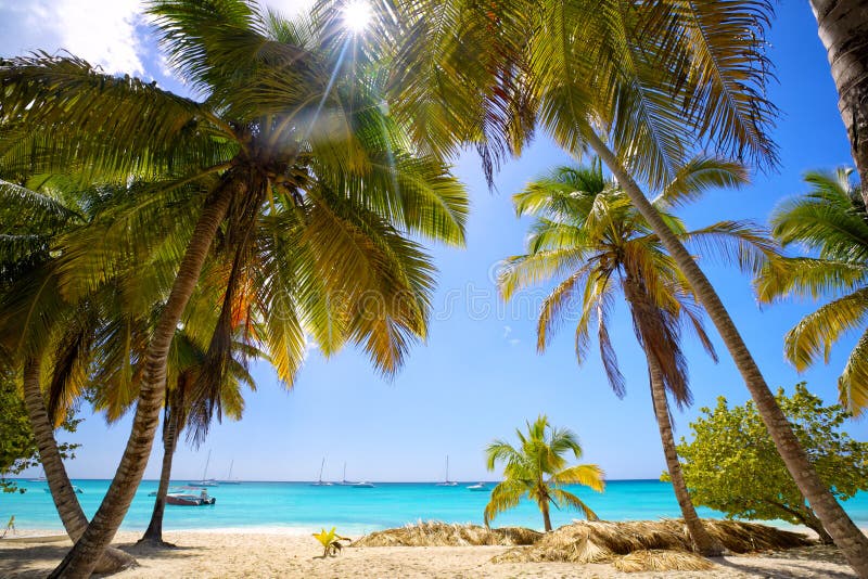 Tropical sand beach stock photo. Image of sand, beach - 38368476