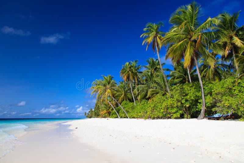 Tropical sand beach stock image. Image of ocean, holiday - 47583633