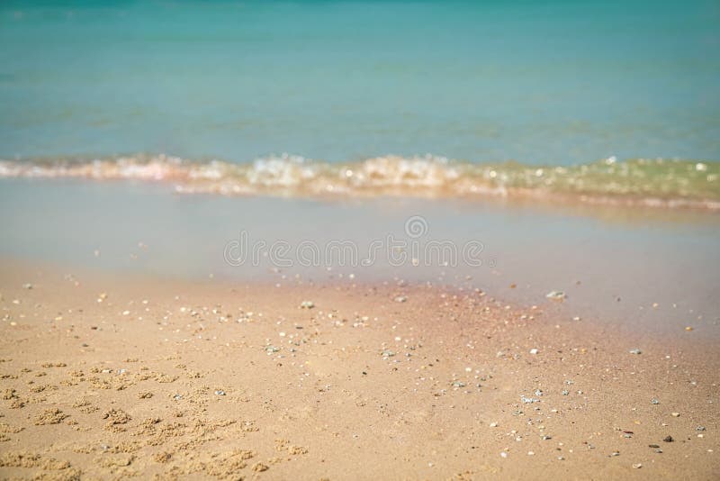 Tropical sandy beach stock image. Image of summer, sandy - 265472373