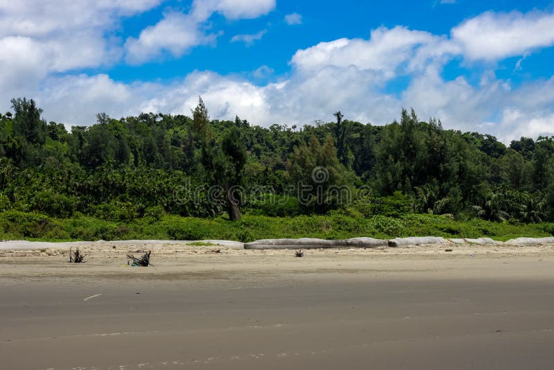 Tropical Sandy Sea Beach Near the Green Forest Stock Image - Image of ...