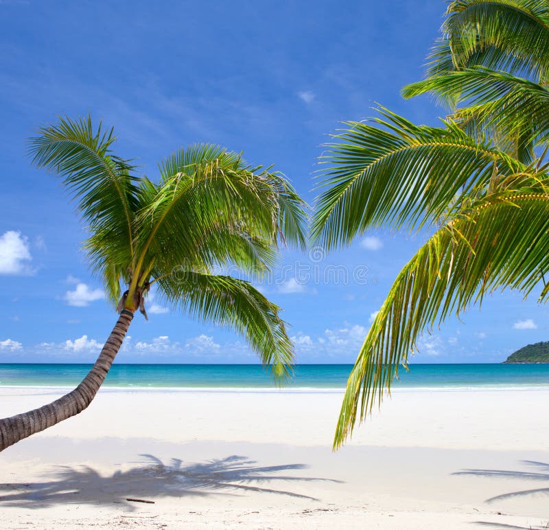 Tropical landscape stock photo. Image of scene, clear - 9649192