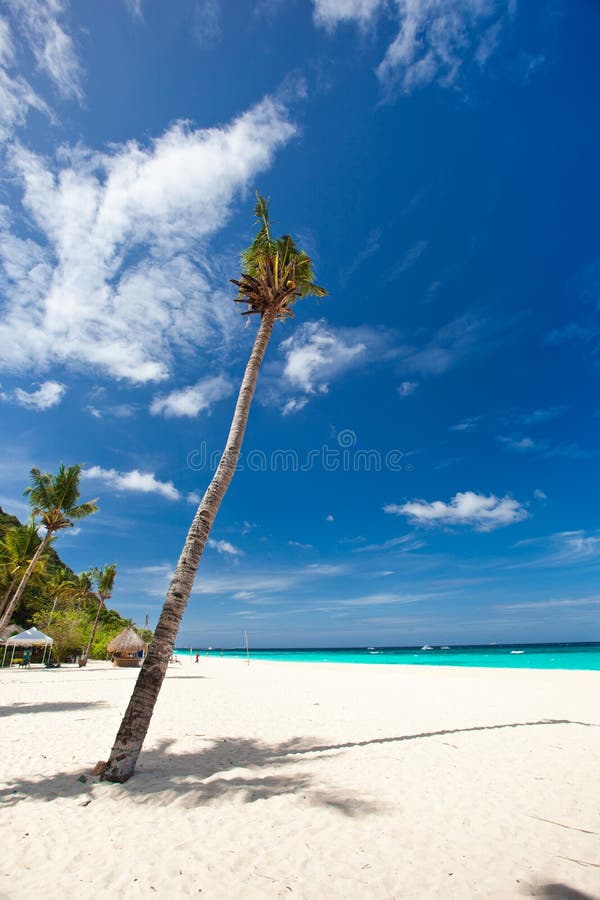 Tropical scene stock image. Image of bahamas, exotic - 29041567
