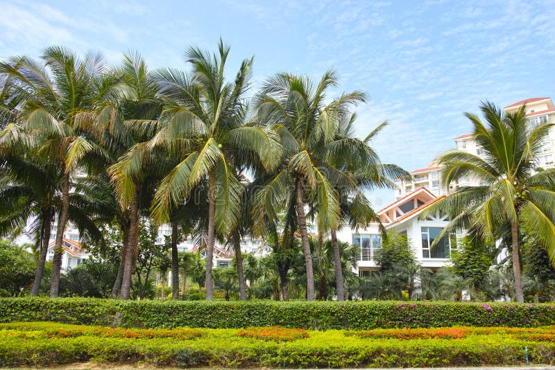 Tropical scenery stock photo. Image of scenic, scenery - 39645742