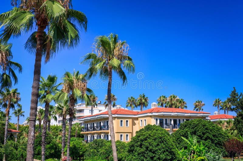 Tropical Scenery of Tekirova, Turkey Stock Image - Image of sunny, bush ...