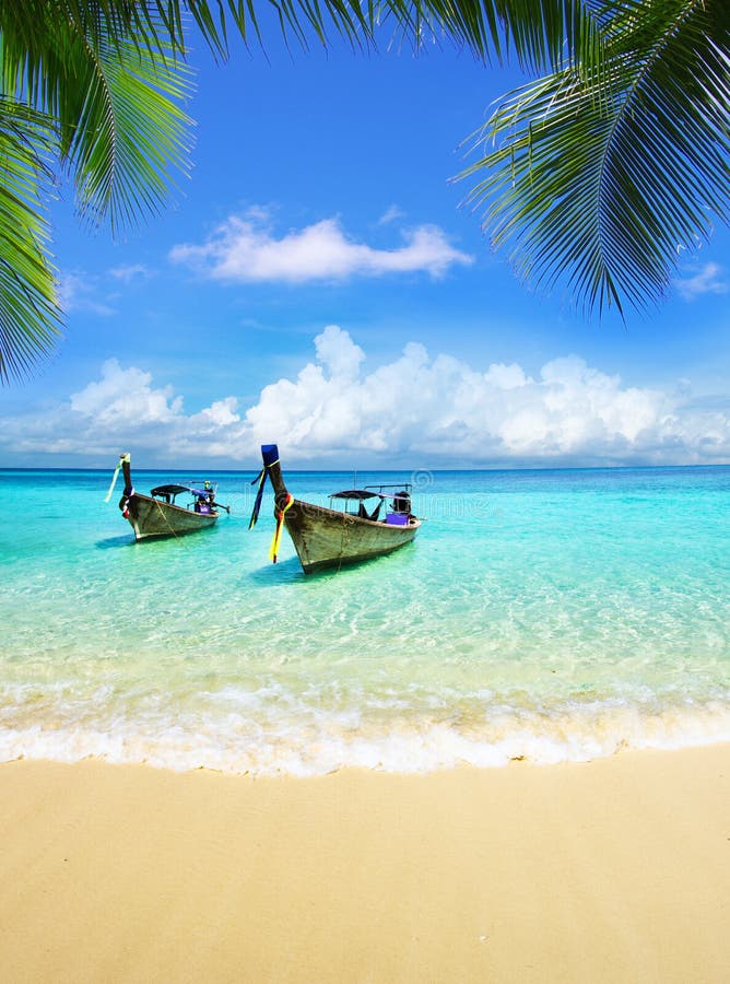 Tropical sea stock photo. Image of sand, sunny, shore - 24704832