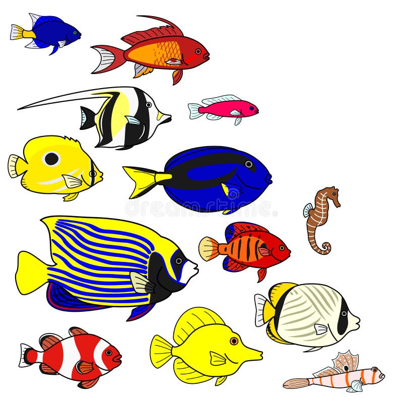 Tropical sea fish species stock vector. Illustration of moorish - 51904856