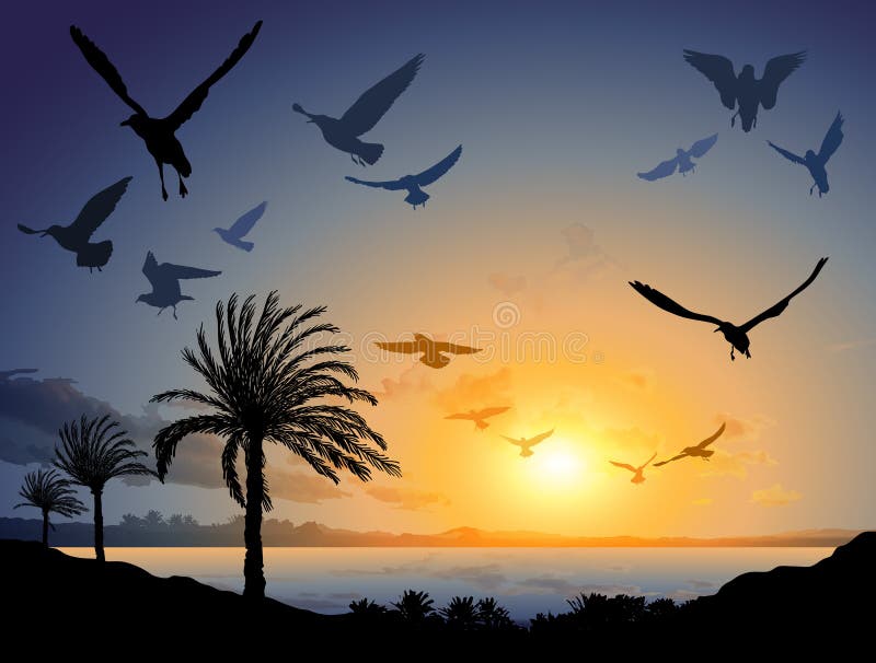 Distant Birds Stock Illustrations – 399 Distant Birds Stock ...