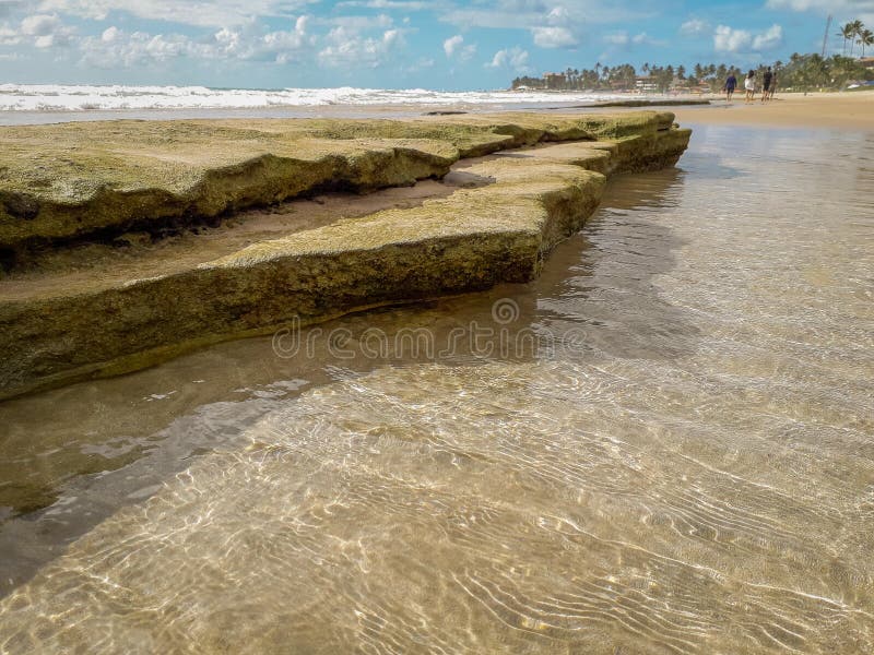 Tropical Sea Water Texture Reflections in Brazil Stock Photo - Image of ...