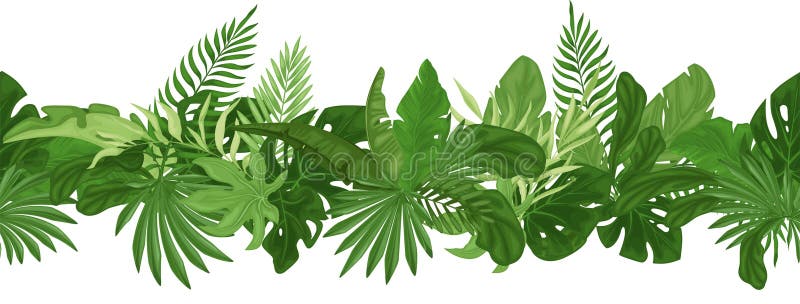 Tropical Island Border Stock Illustrations – 3,928 Tropical Island ...