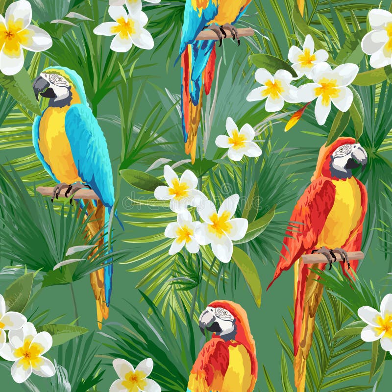 Tropical Seamless Parrot and Floral Summer Pattern. for Wallpapers ...