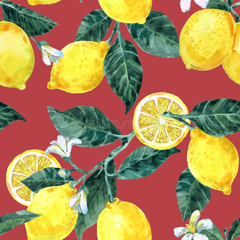 Tropical Seamless Pattern with Yellow Lemons. Fruit Watercolor Painted ...