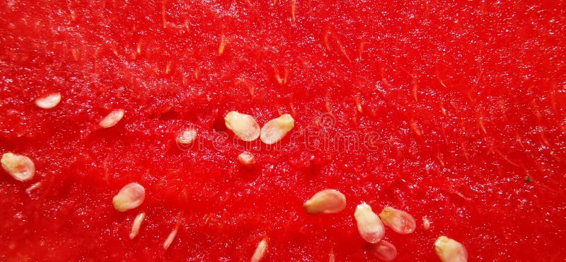 Tropical Seasonal Sweet Watermelon Fruit Stock Image - Image of ...