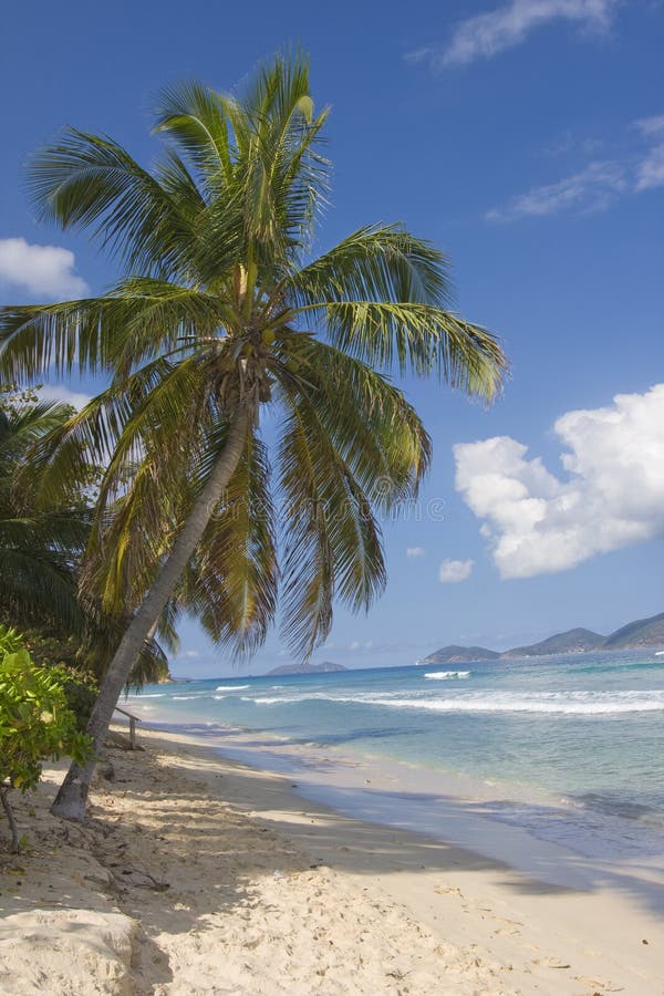 Tropical setting stock photo. Image of holiday, beach - 9128916