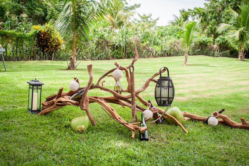 Tropical Setting of the Houston Skyline Stock Photo - Image of blue ...