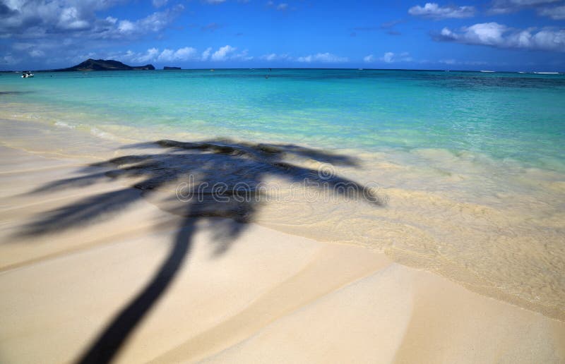 Tropical Shadow on Lanikai Beach Stock Image - Image of relaxation ...