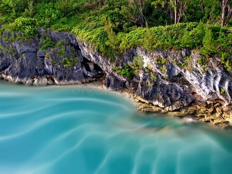 Tropical Shore stock image. Image of california, relax - 3849071