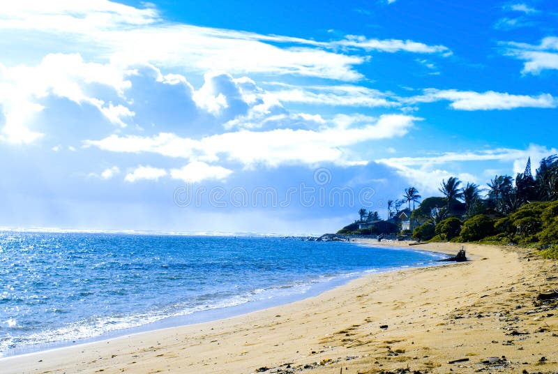 Tropical Shore stock photo. Image of copy, beautiful, coast - 4743044