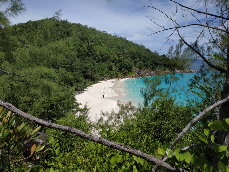 Tropical Shore Sightseen with Palm Spider Stock Image - Image of ...