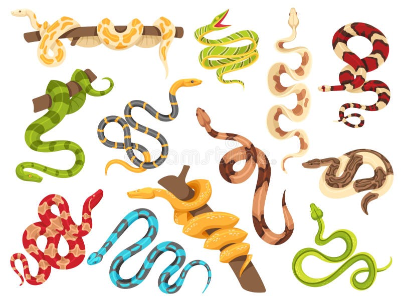 Snake Terrarium Stock Illustrations – 763 Snake Terrarium Stock ...