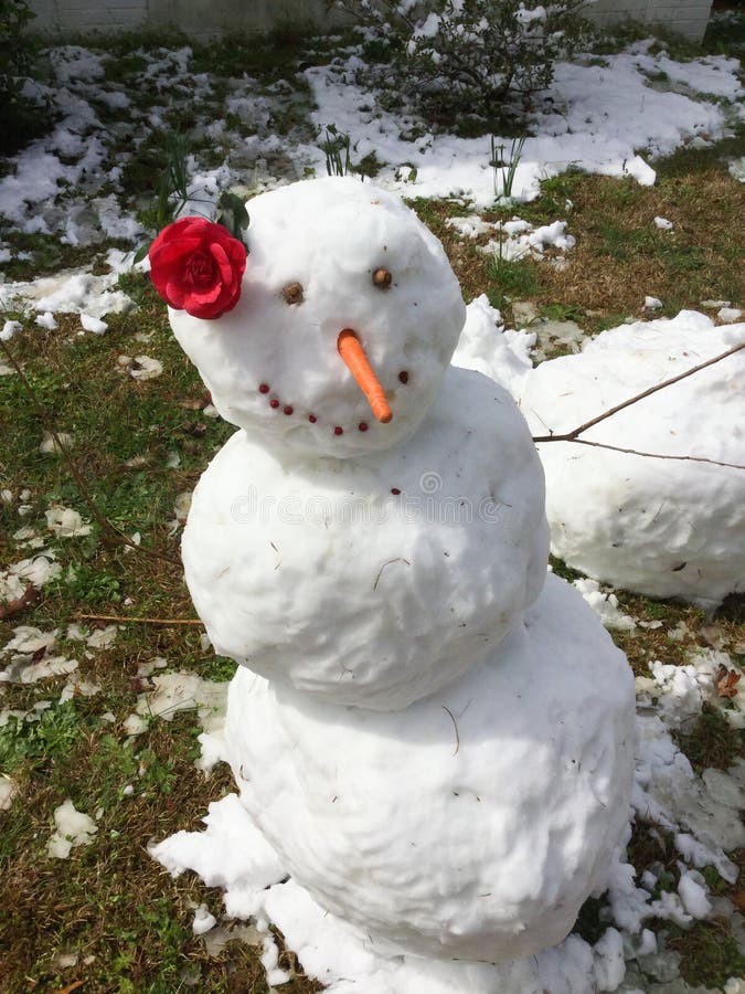 817 Tropical Snowman Photos - Free & Royalty-Free Stock Photos from ...