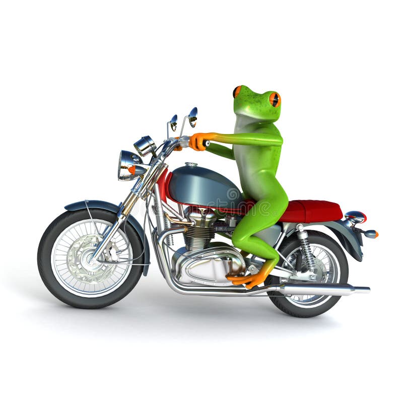 Frog on Motorcycle stock illustration. Illustration of freedom - 67917996