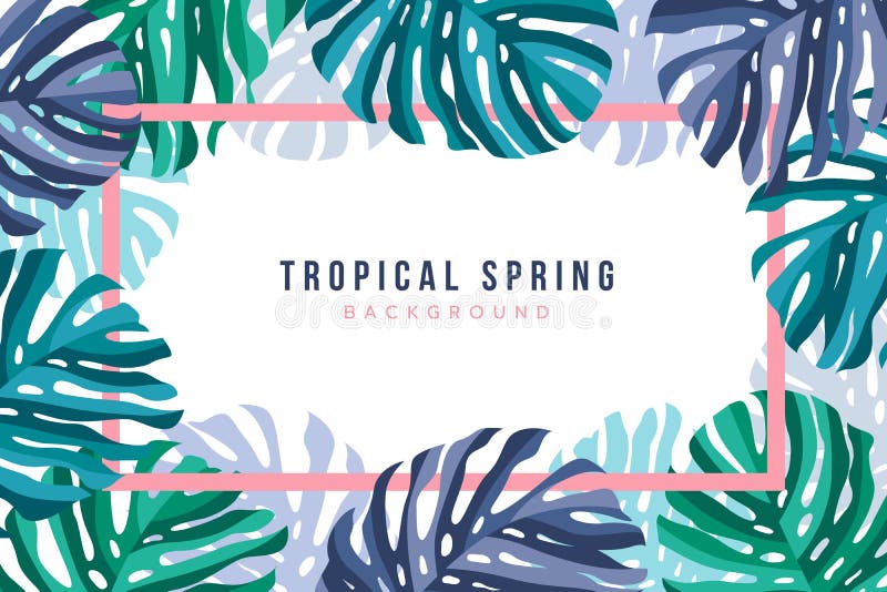 Tropical Spring Background with Monstera Leaves Around and Pink Frame ...