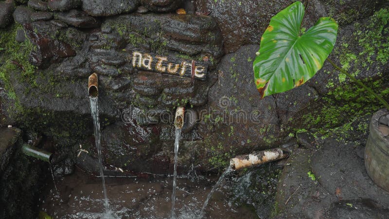 A Tropical Spring Made by Human Hands Using Plastic Pipes in Rocks. a ...