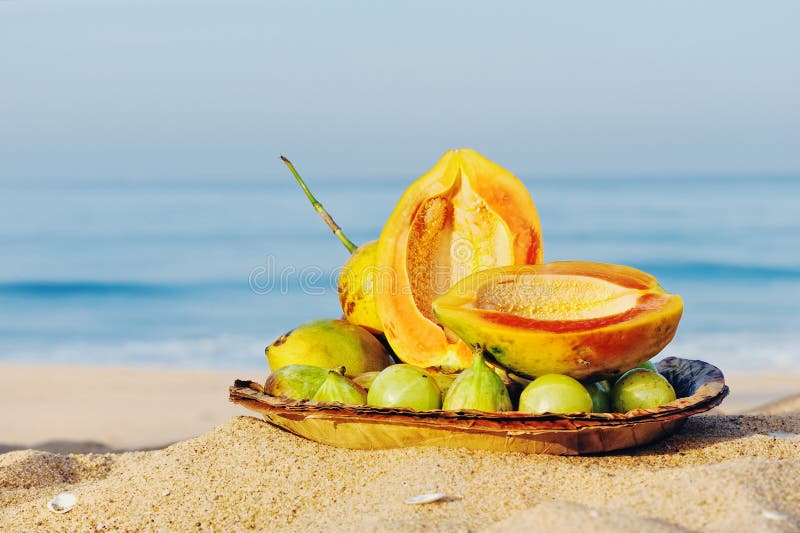 Tropical Still-Life stock image. Image of sandy, coco - 23024165