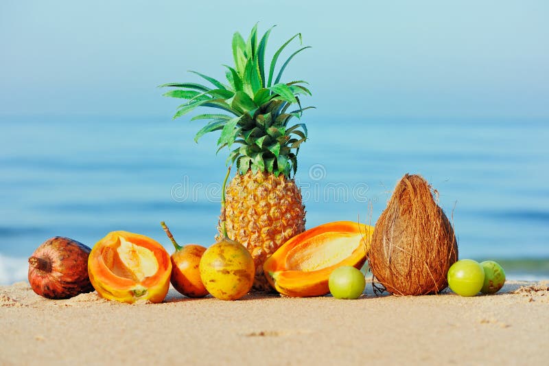 Tropical still life stock image. Image of scenic, shore - 33584587