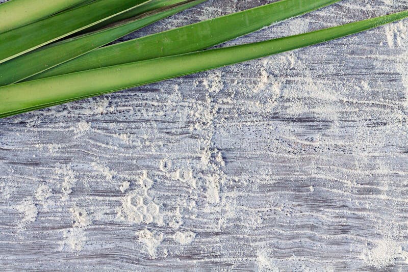 Tropical Still Life of Sand and Palm Trees Top View Stock Image - Image ...
