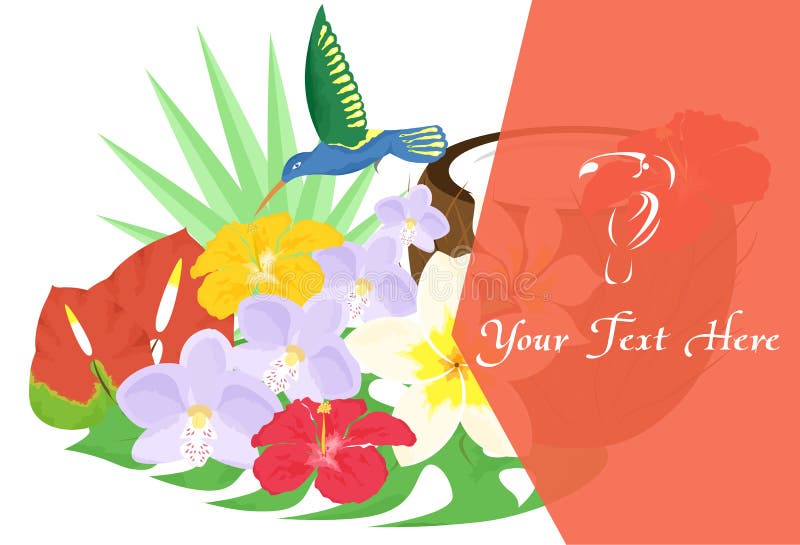 Tropical Still Life Template Stock Vector - Illustration of hummingbird ...