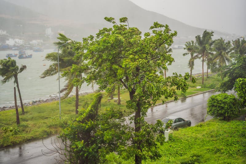 Tropical Storm, Heavy Rain and High Winds in Tropical Climates Stock ...