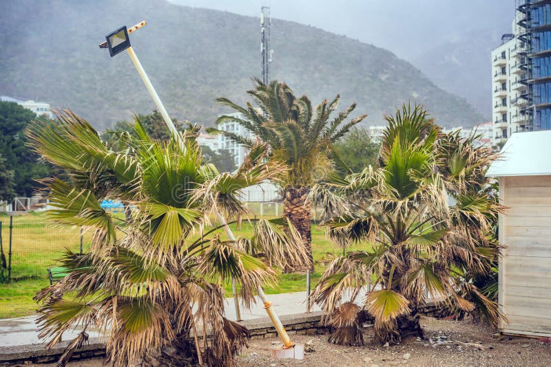 Tropical Storm, Heavy Rain and High Winds in Tropical Climates Stock ...