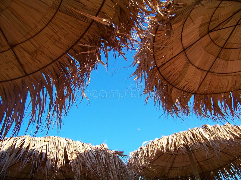 Tropical Straw Beach Umbrellas Stock Image - Image of thatched, look ...