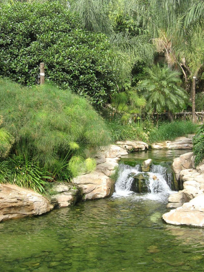 Tropical Stream Picture. Image: 3462580