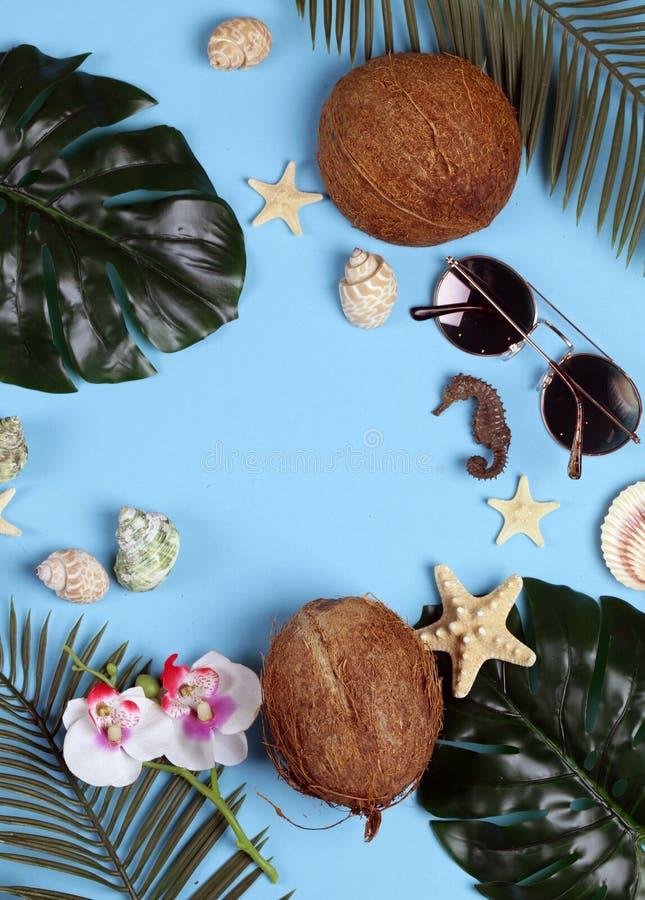 Tropical style life stock image. Image of holiday, style - 174464765