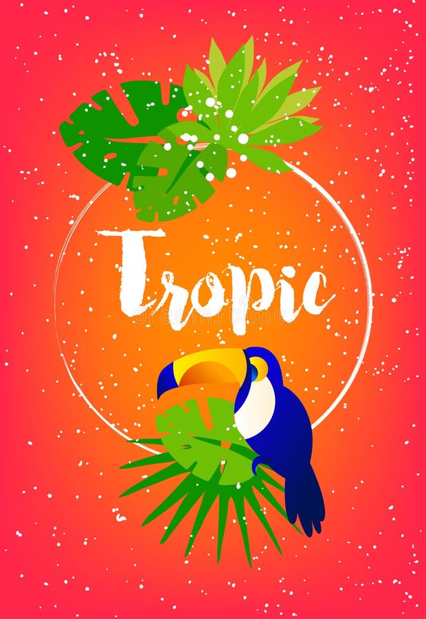 Tropical Summer Card with Palm Leaves, Toucan, Frame and Text on Red ...