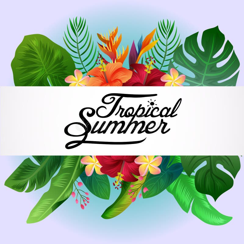Summer tropical tag set stock vector. Illustration of aloha - 176624315