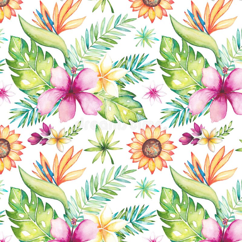 Tropical Summer Pattern with Watercolor Flowers Stock Illustration ...