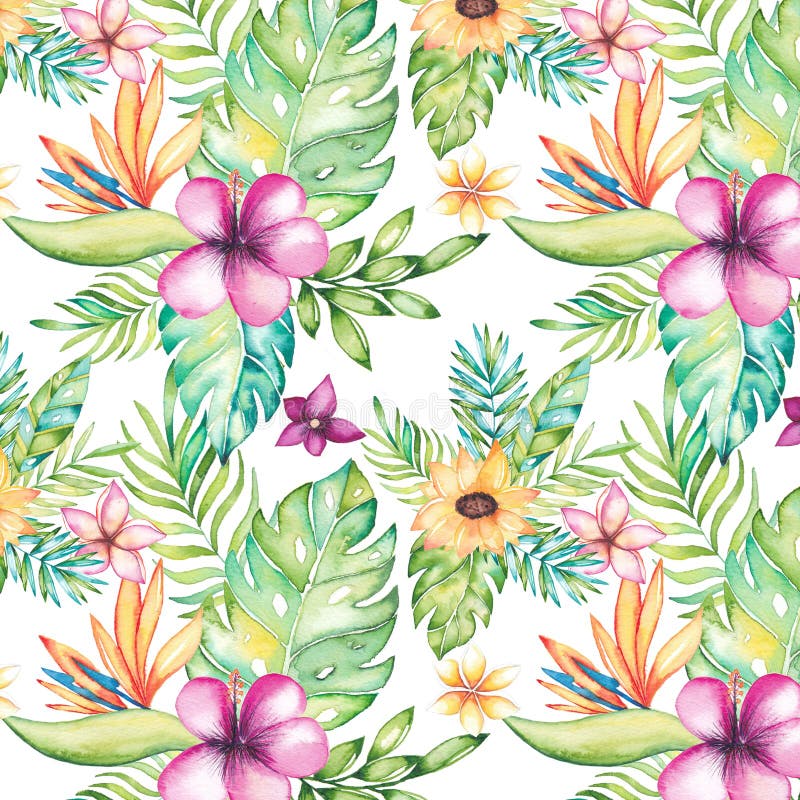 Tropical Summer Pattern with Watercolor Flowers Stock Illustration ...
